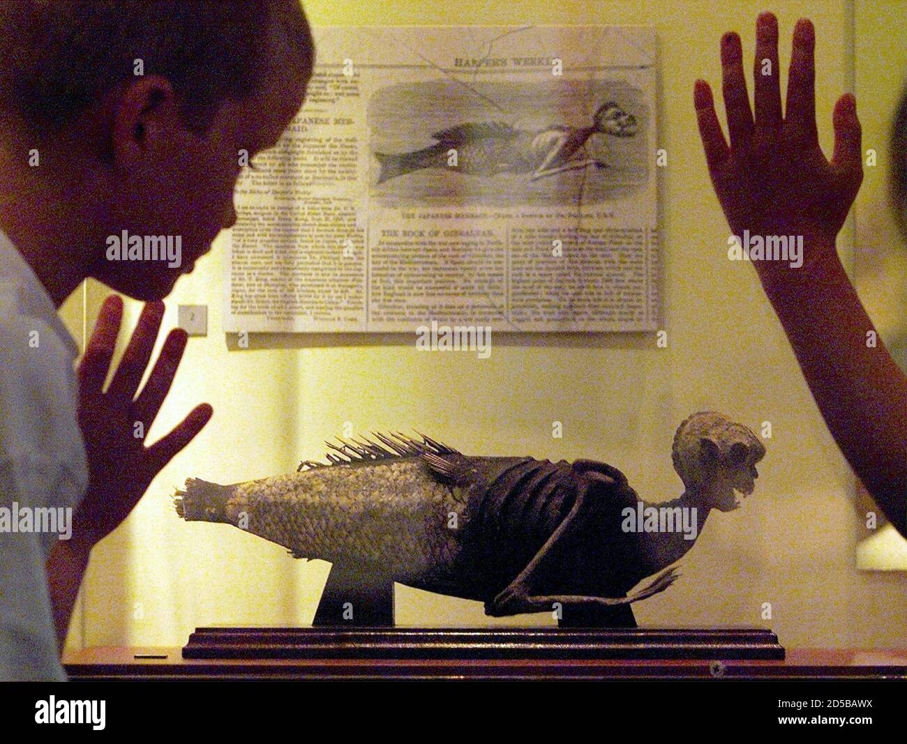 Fish lore hi-res stock photography and images - Alamy