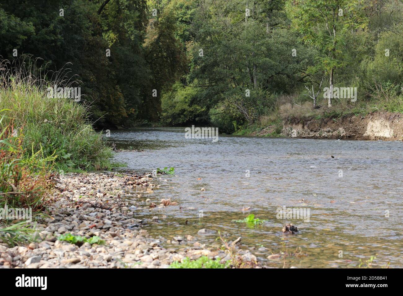 La Lesse river in Belgium Stock Photo - Alamy