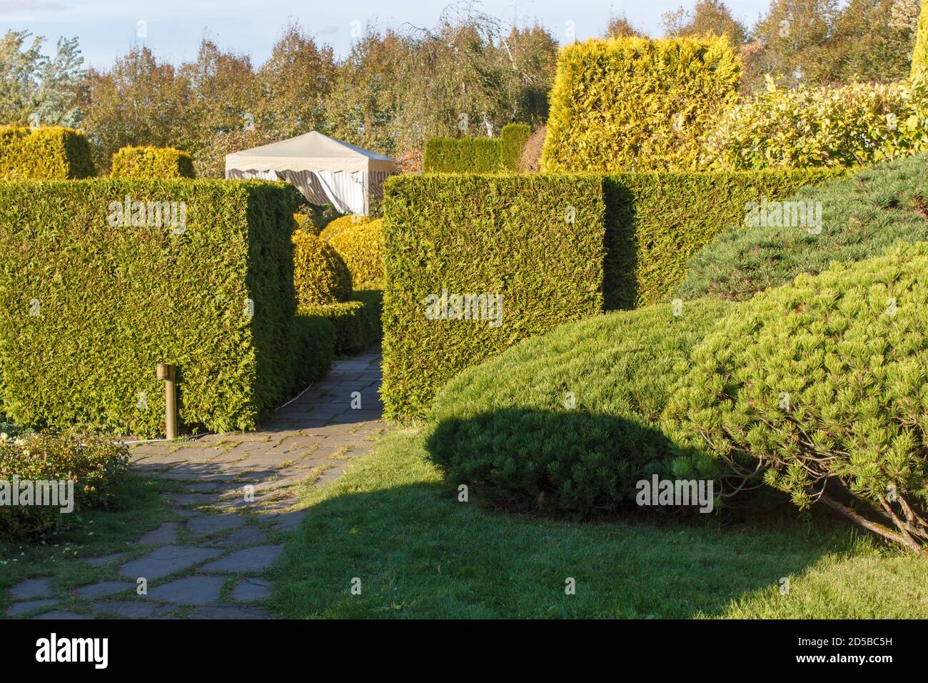 Cottage garden with green lawn, trees, hedges, trimmed bushes and large ...
