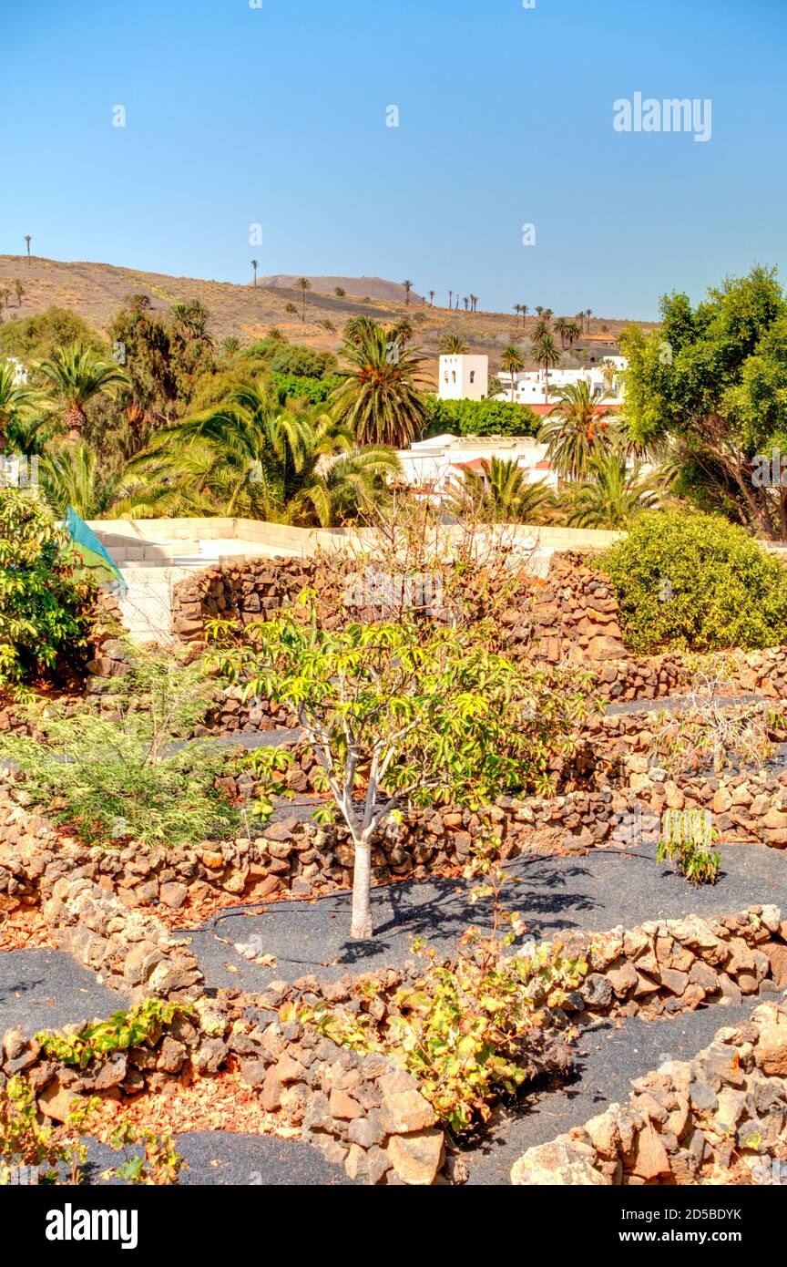 Haria, Lanzarote, Spain Stock Photo - Alamy