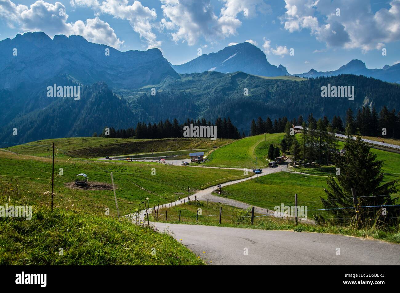 Frience hi-res stock photography and images - Alamy