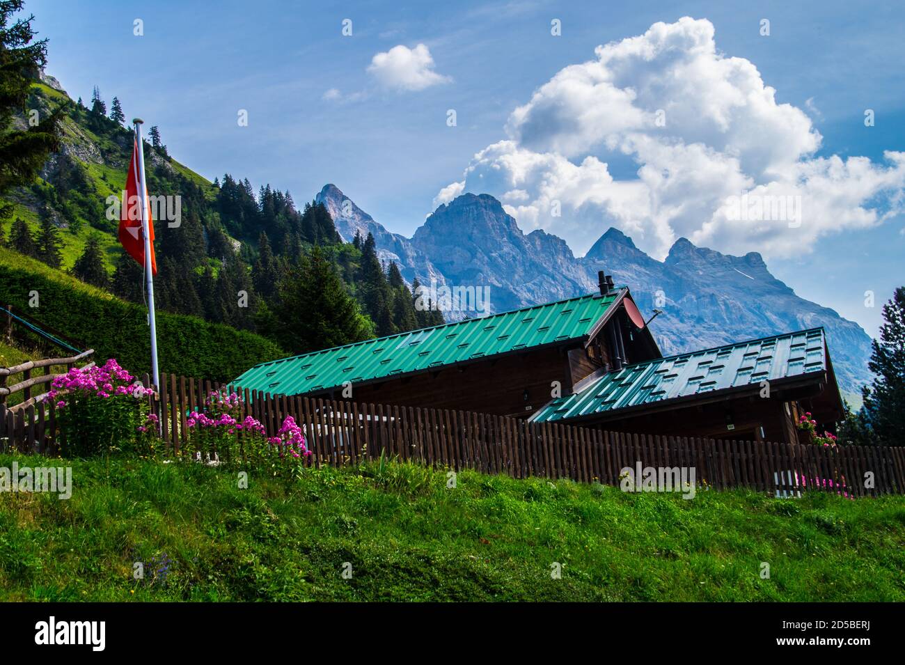 Frience hi-res stock photography and images - Alamy