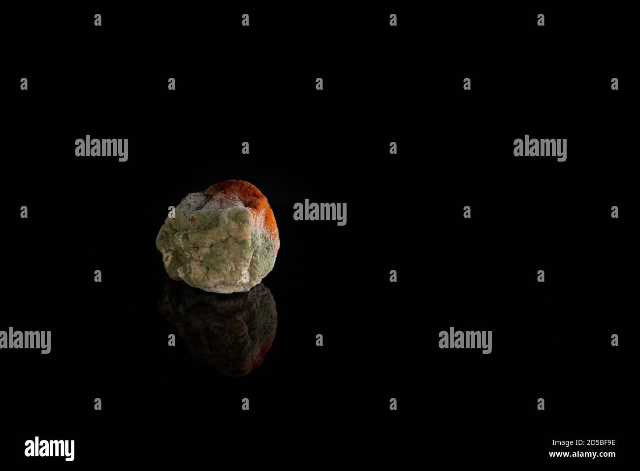 moldy rotten orange tangerine on a black background, spoiled fruit, bad ...