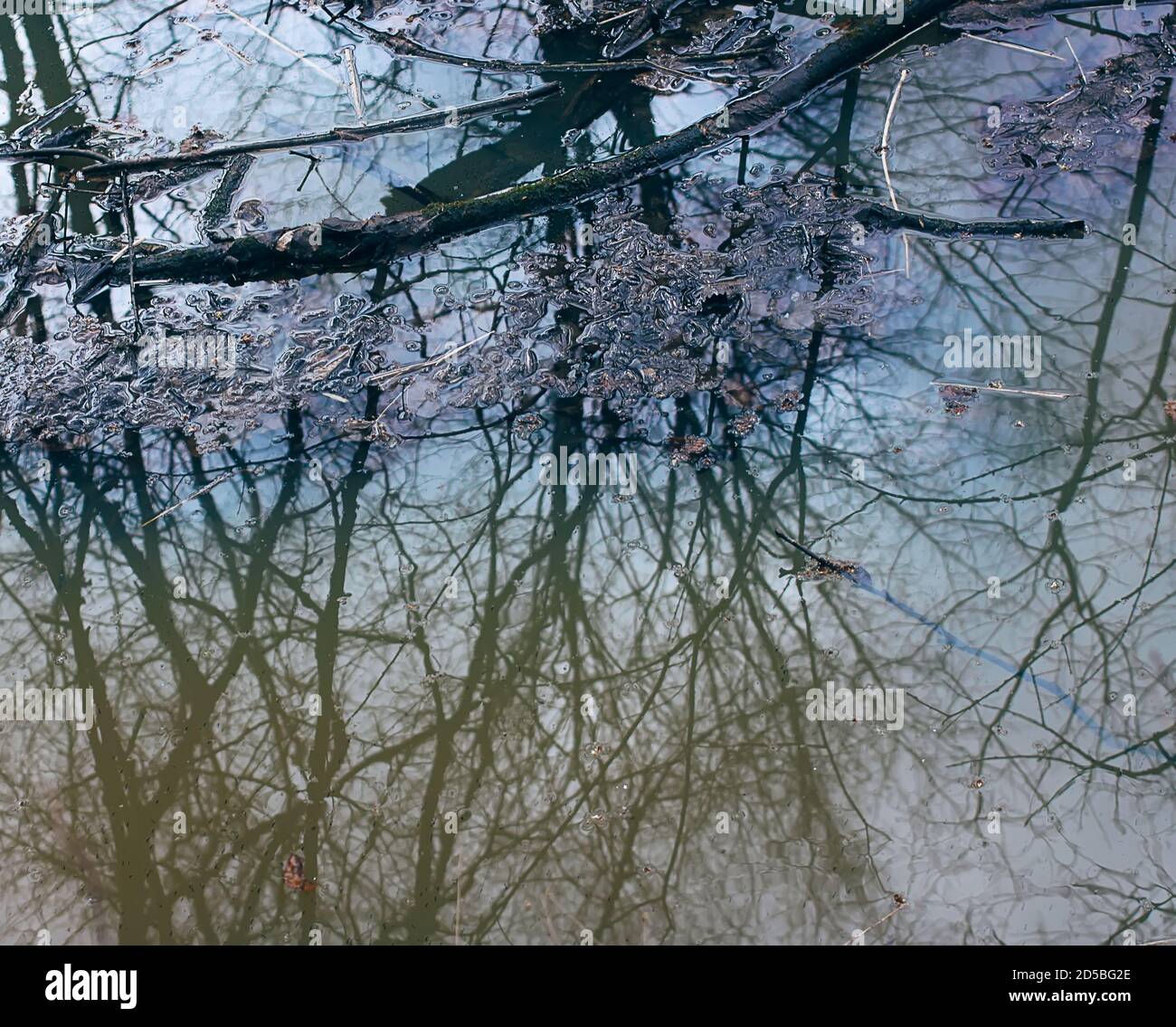 Small stream in the forest. A transparent wavy water of small rivulent ...