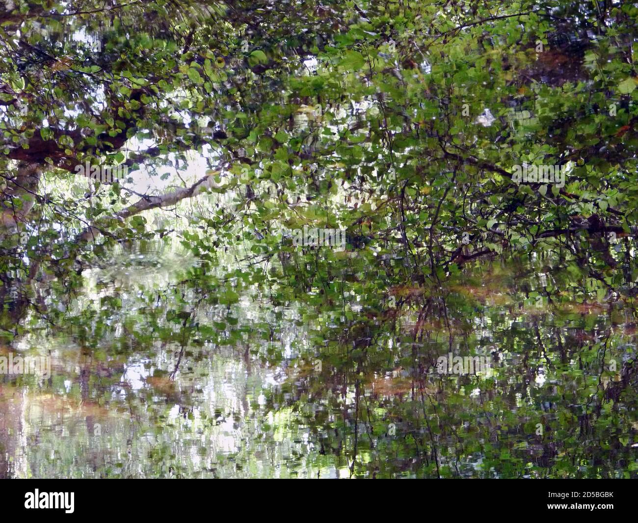 Monet tree hi-res stock photography and images - Alamy