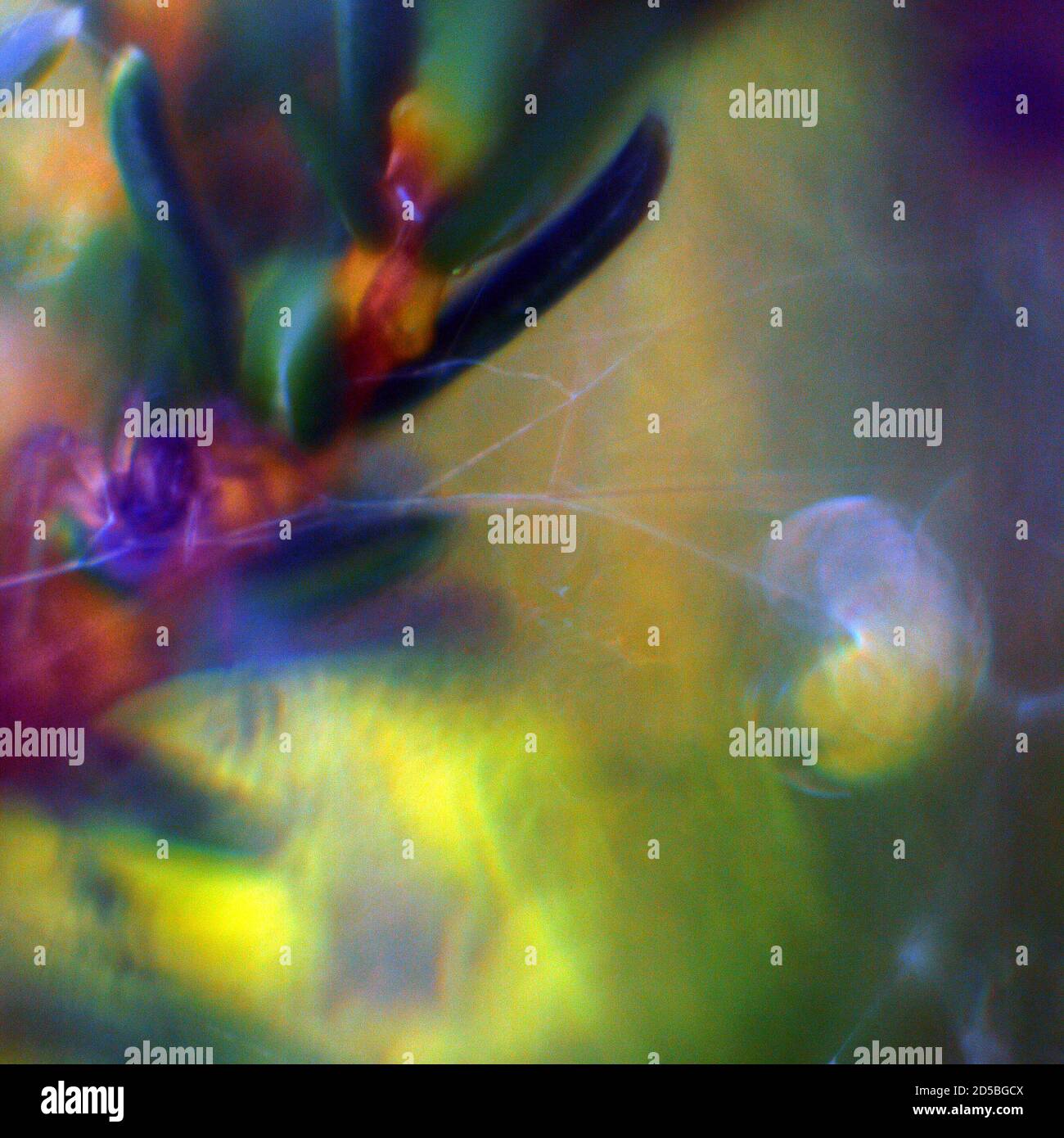 Web Art 1 Stock Photo - Alamy