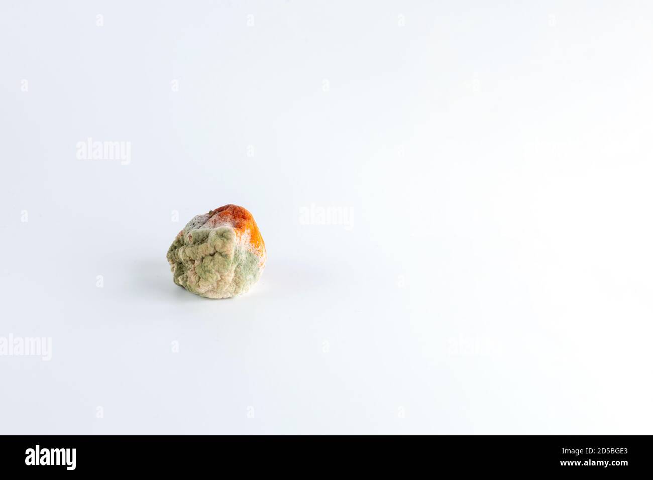 moldy rotten orange tangerine on a white background, spoiled fruit, bad ...