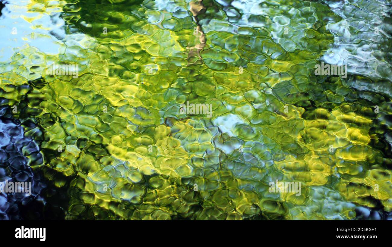 Reflection stained glass window hi-res stock photography and images - Alamy