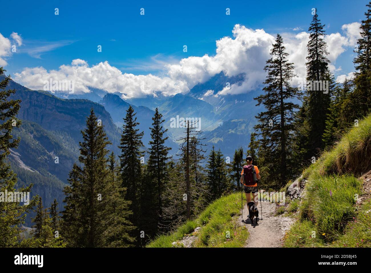 Hiking in the swiss alps Stock Photo - Alamy