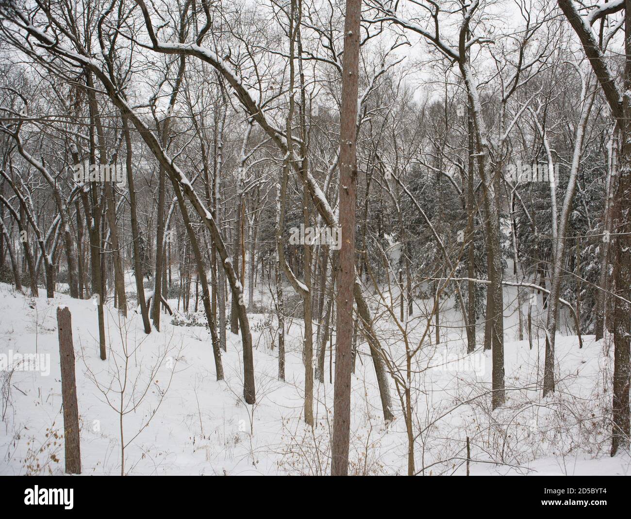 Ann arbor arboretum hi-res stock photography and images - Alamy