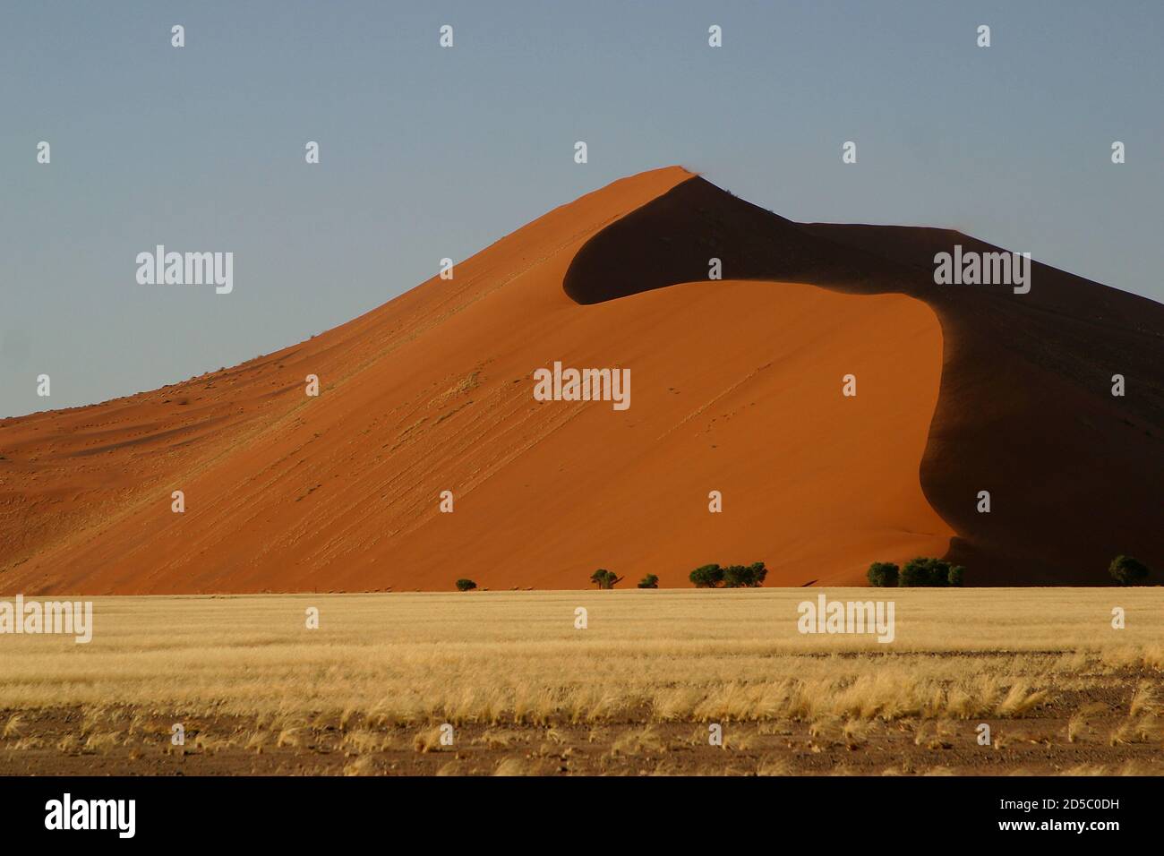 Sand dunes rising from grasslands in Africa Stock Photo - Alamy