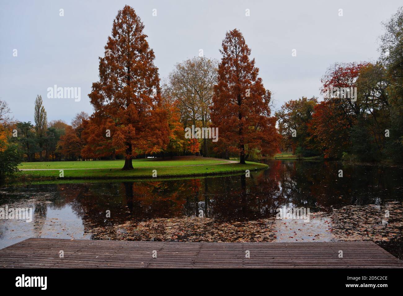 Autumn in Het Park in Rotterdam. Beautiful Fall Park with Colorful ...