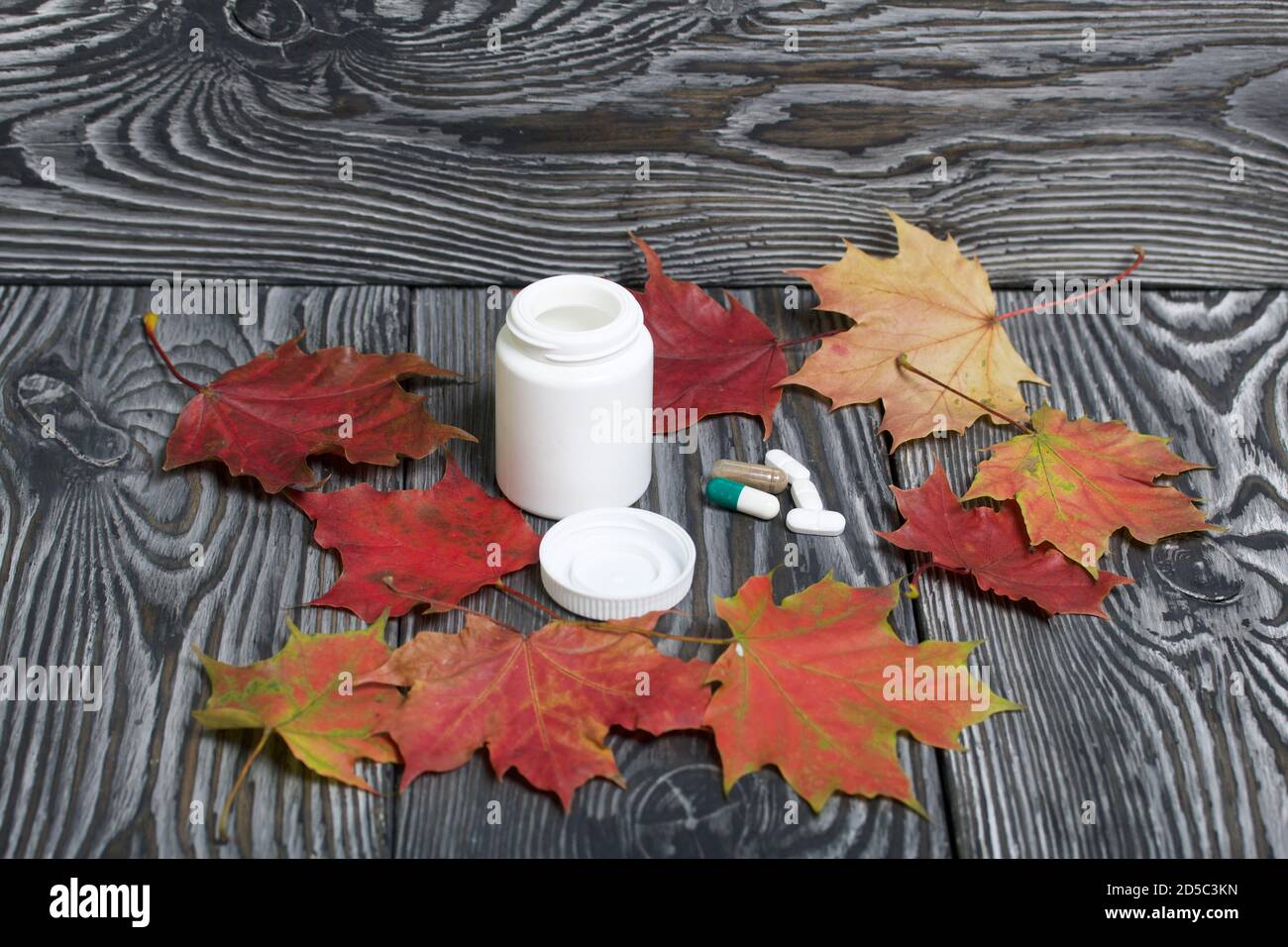 Container with pills and autumn maple leaves. The lid of the container ...