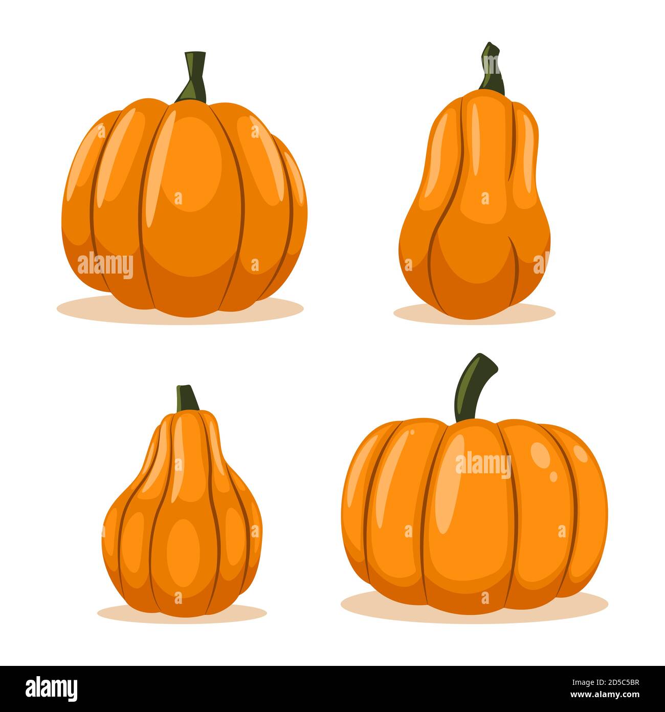 Pumpkin of different shape vector cartoon vegetable set isolated on ...