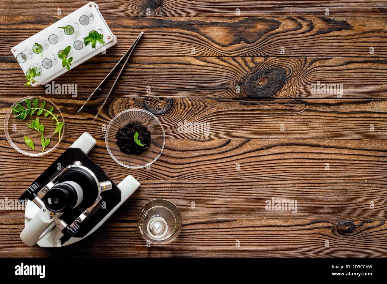 Testing plants and soil in biological laboratory Stock Photo - Alamy