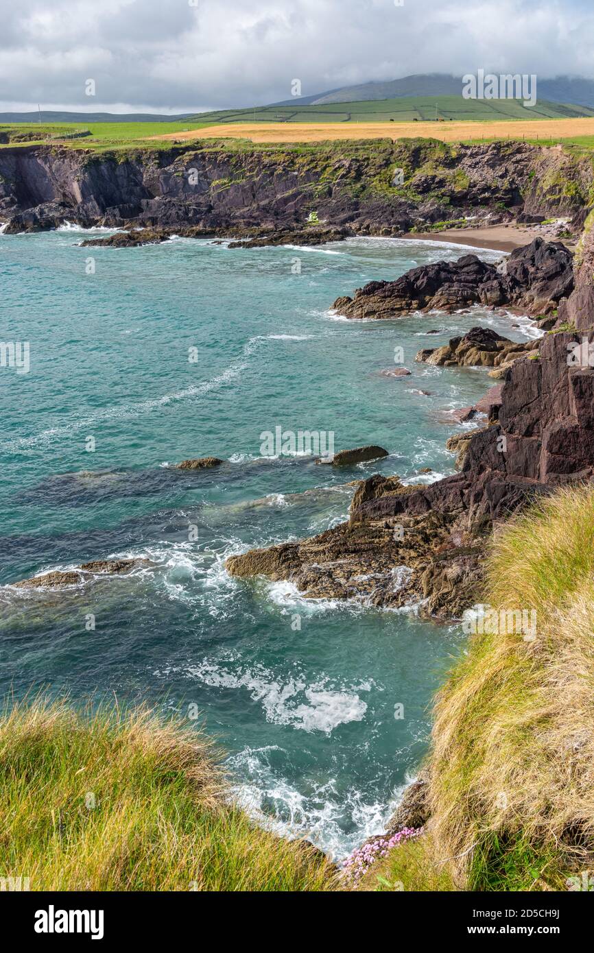 Cliffs of dingle peninsula hi-res stock photography and images - Alamy