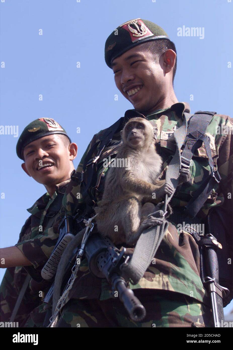 Mascot monkey hi-res stock photography and images - Alamy