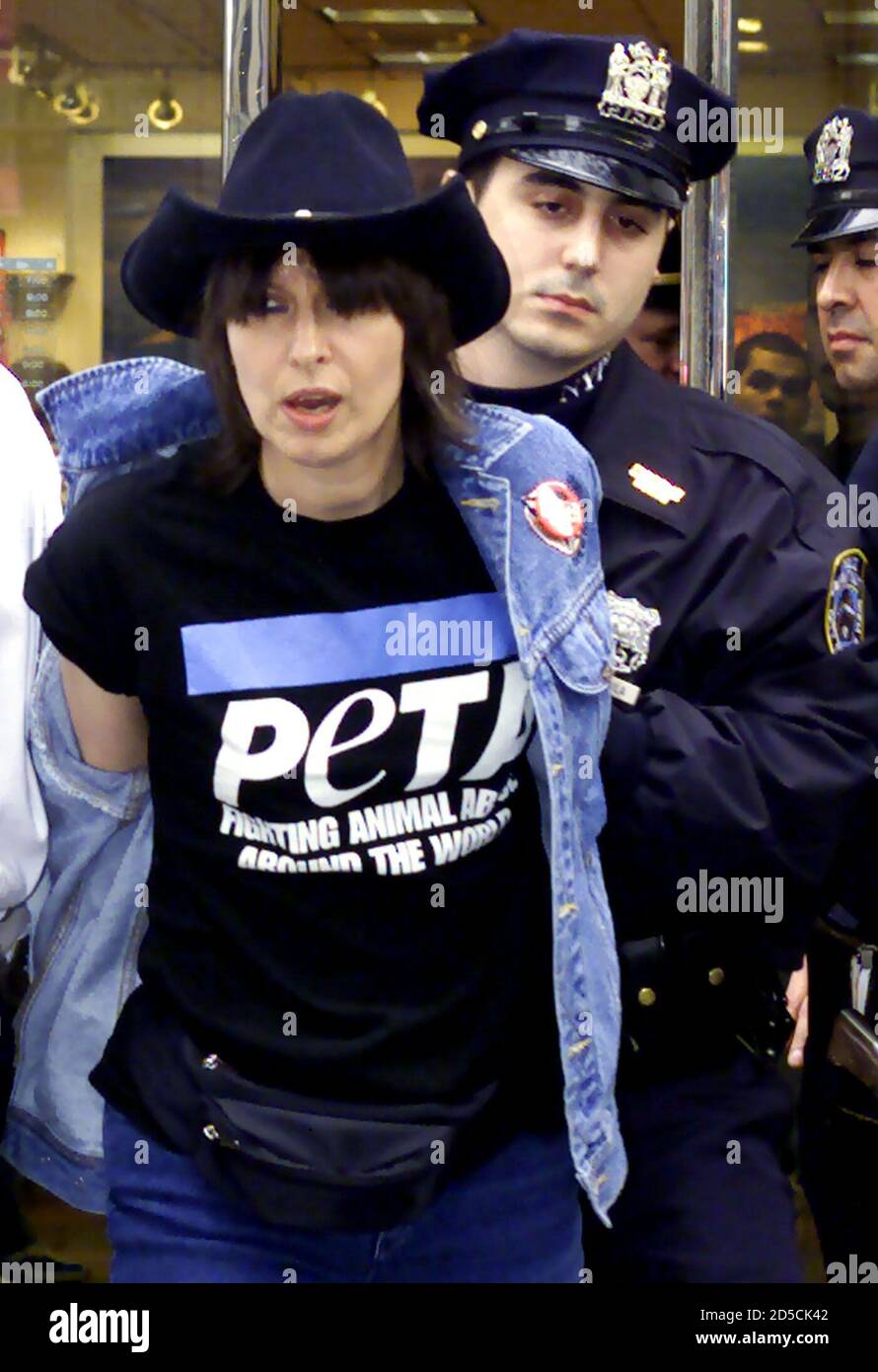 Members Of The Pretenders