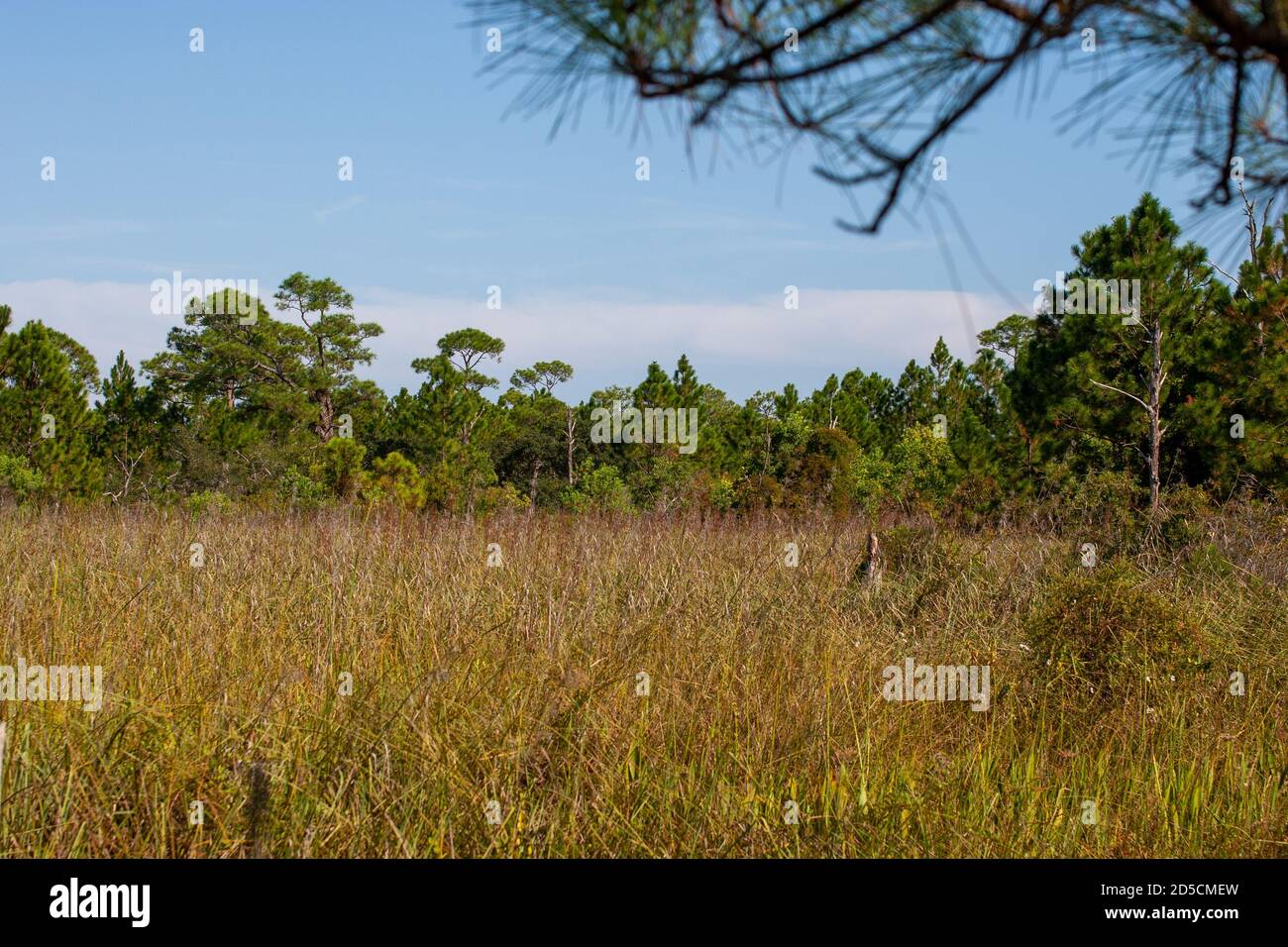 Summer at Fort Pickens, Florida Stock Photo - Alamy