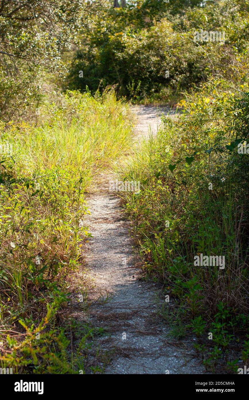 Summer at Fort Pickens, Florida Stock Photo - Alamy