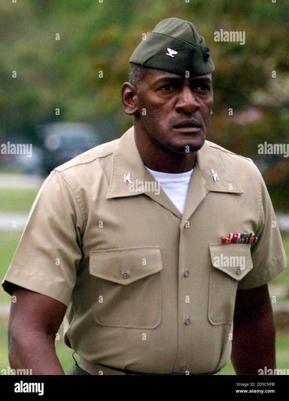 Cri cri jet hi-res stock photography and images - Alamy