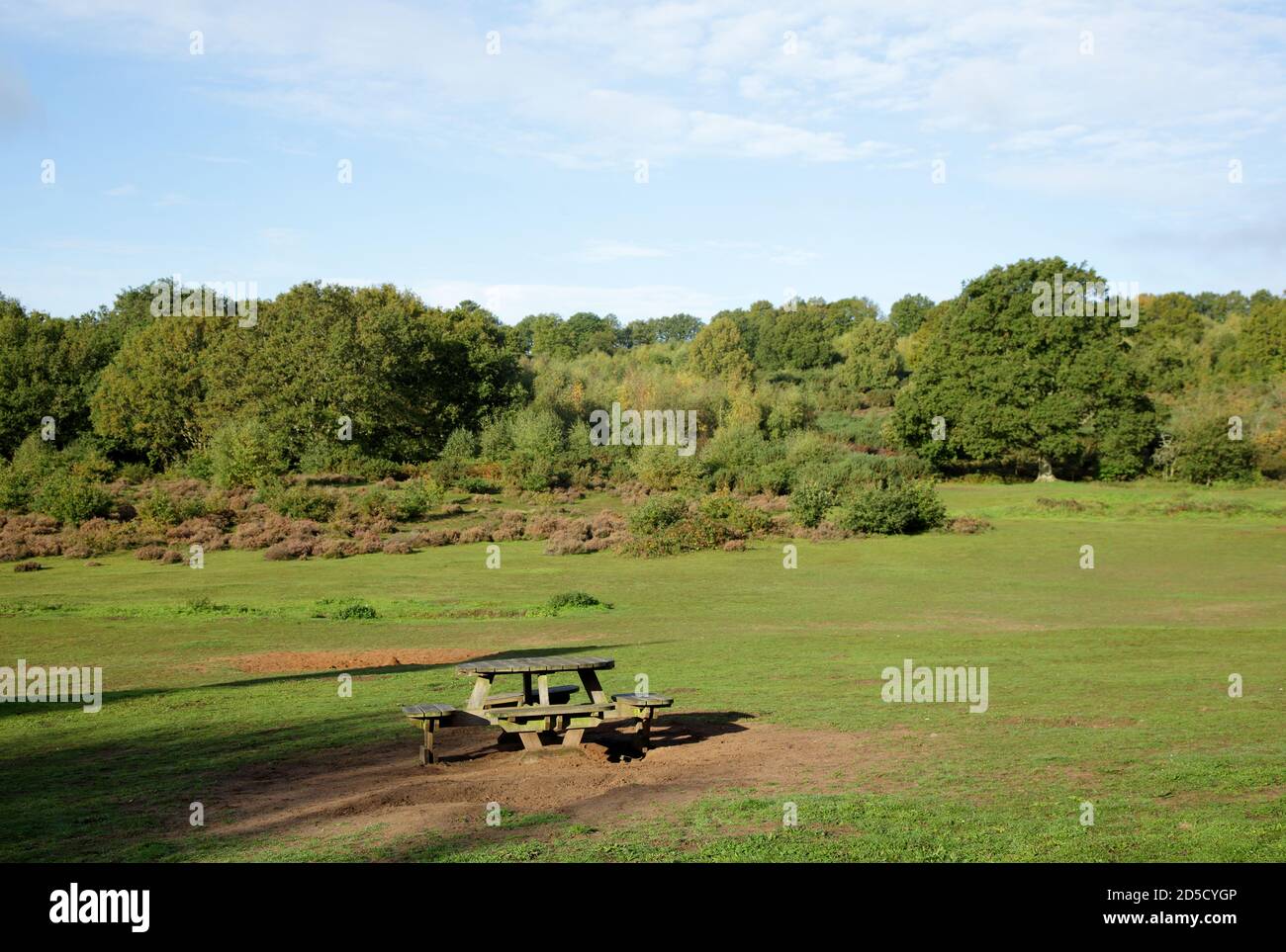 Heathland on Kinver edge, Staffordshire, England, UK Stock Photo - Alamy