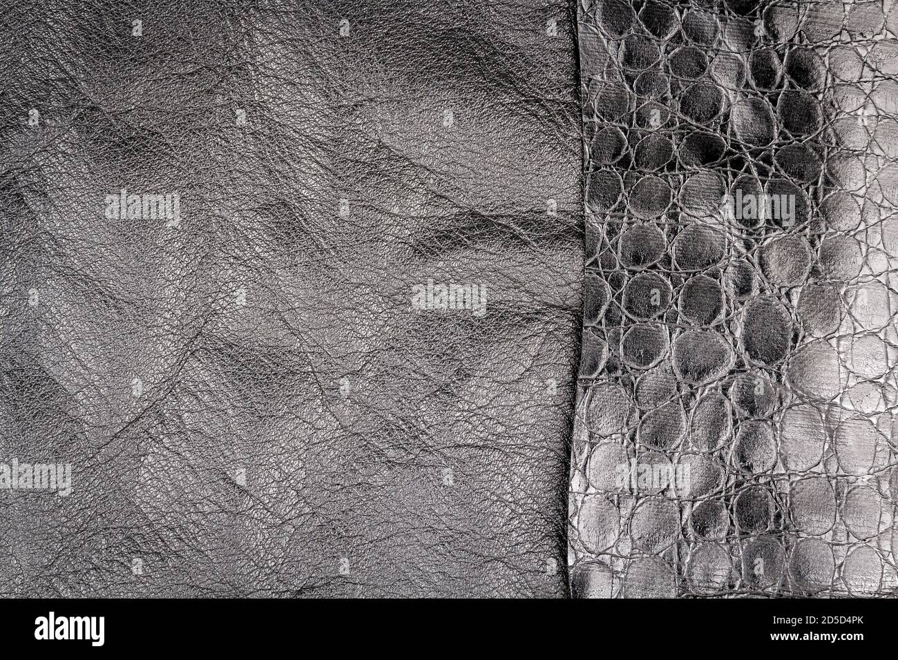 Skin textures hi-res stock photography and images - Alamy