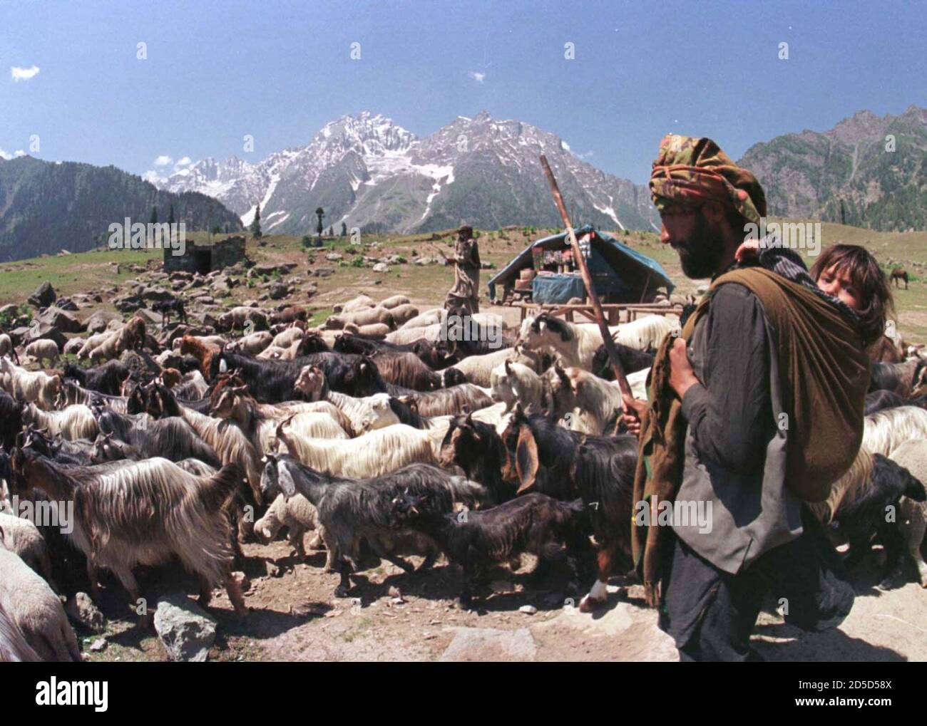 Himalayan shepherd in india hi-res stock photography and images - Alamy