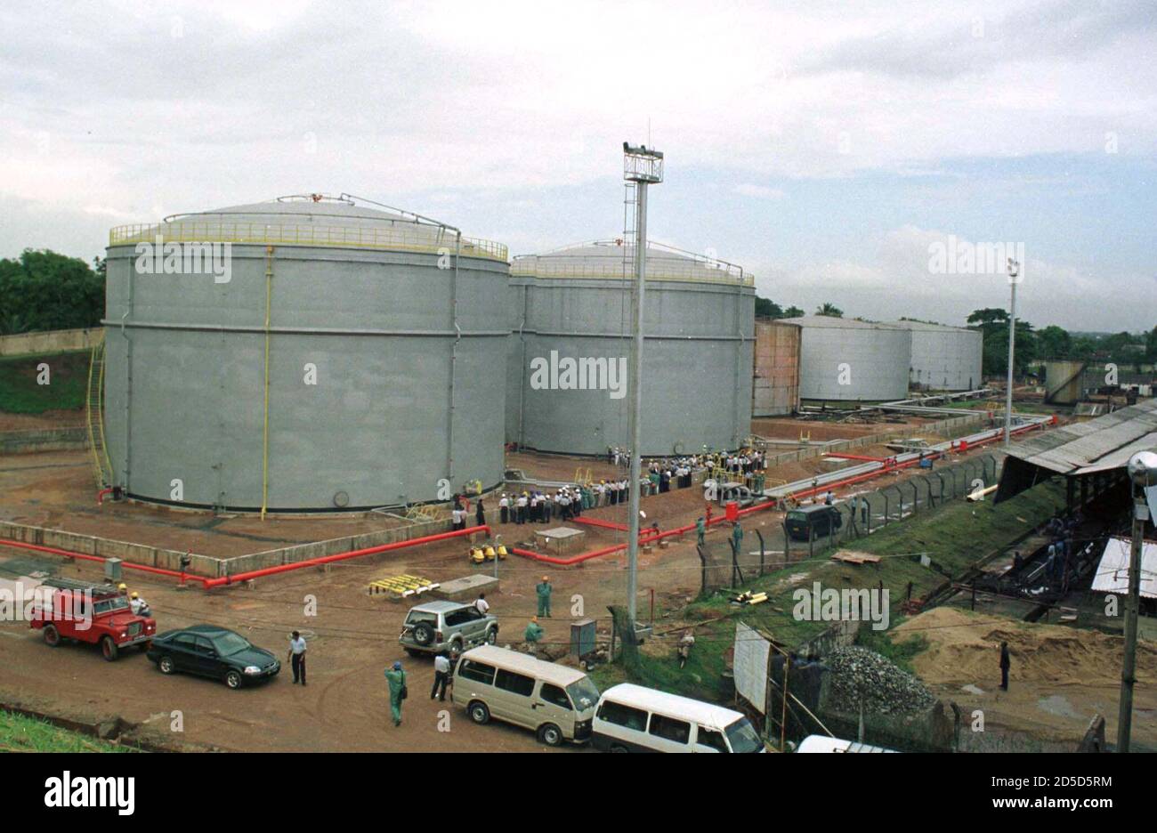 Tiger attack china hi-res stock photography and images - Alamy