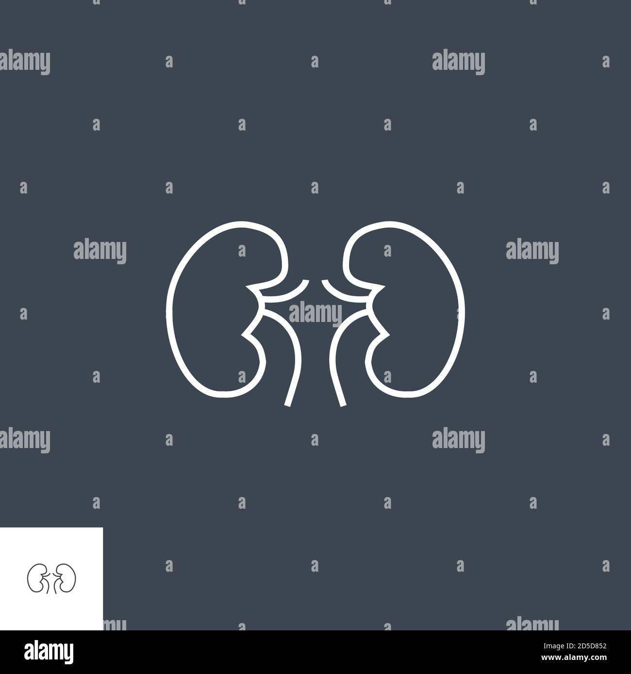 Healthy kidneys medical image Stock Vector Images - Alamy