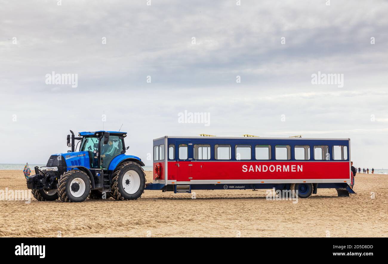 Sandormen a tractor-drawn bus, Grenen, Skagen, Jutland, Denmark Stock ...