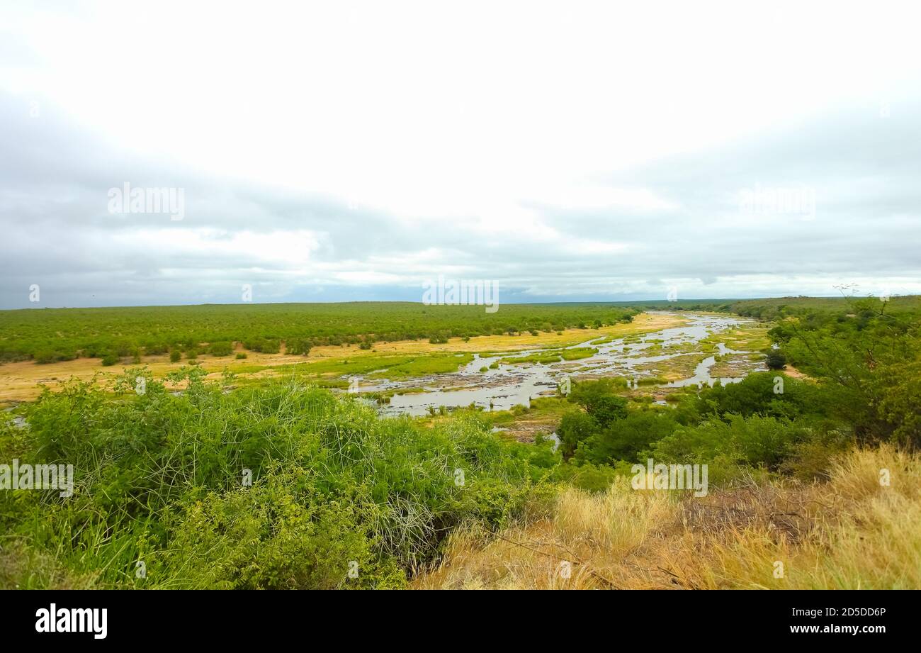 Semi dry river bed in a South African wilderness reserve Stock Photo ...