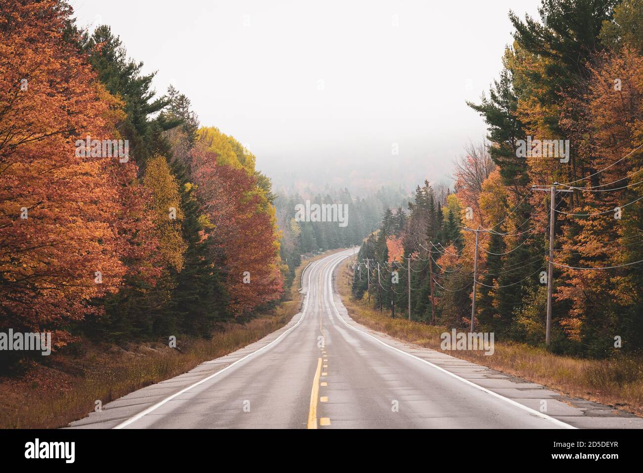 Autumn color and fog over a road near Greenville, Maine Stock Photo - Alamy
