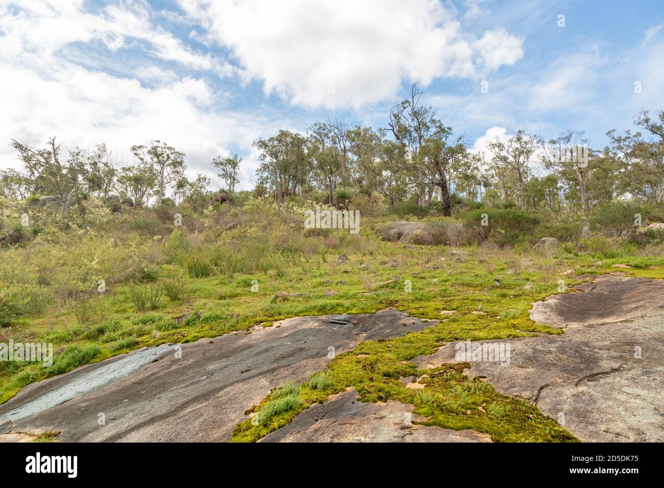 Landscape in the John Forrest National Park, Perth, Western Australia ...