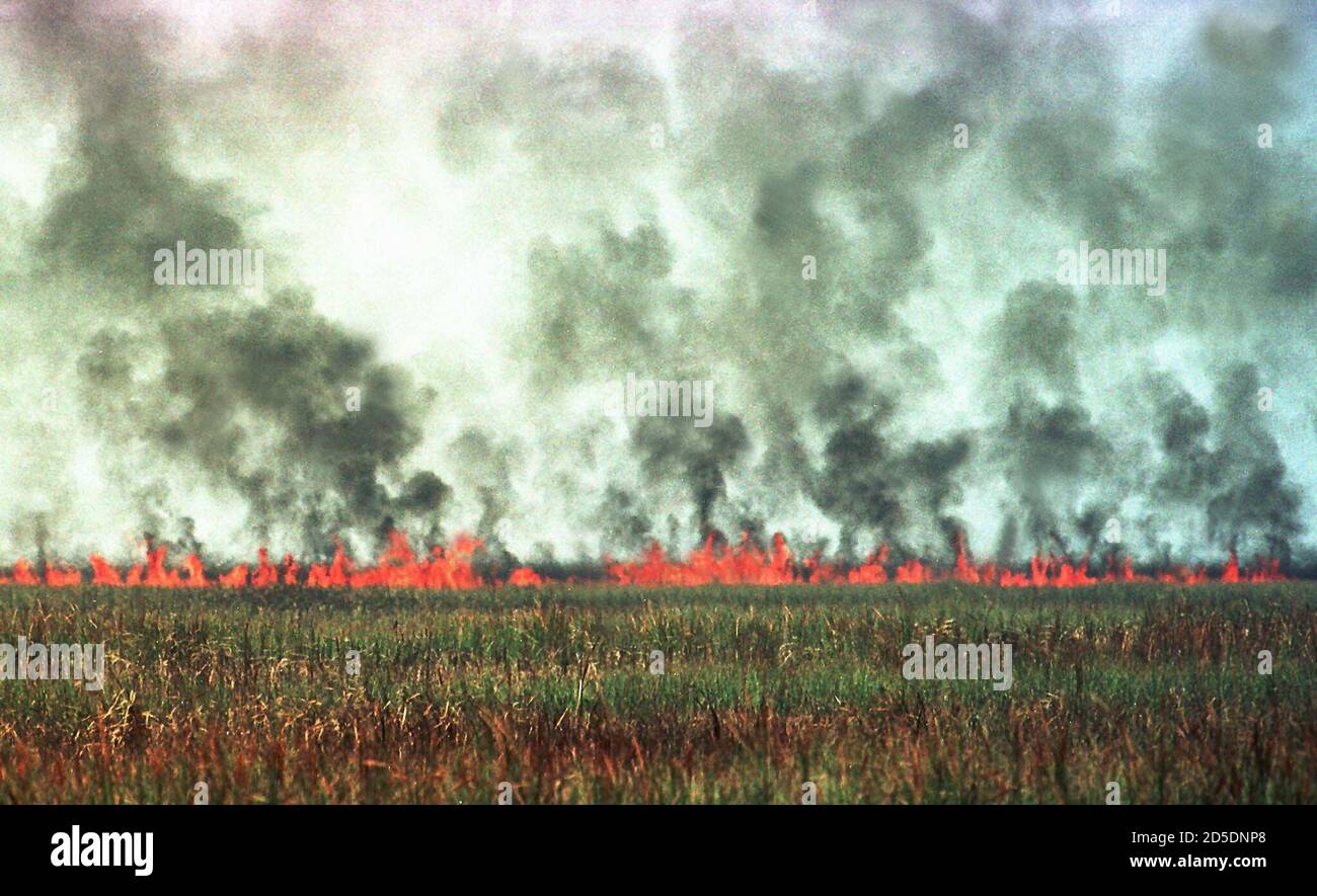 Everglades smoke hi-res stock photography and images - Alamy