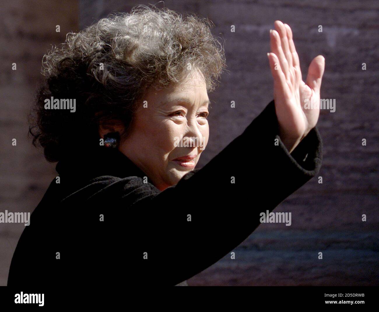 Canadas governor general adrienne clarkson hi-res stock photography and ...