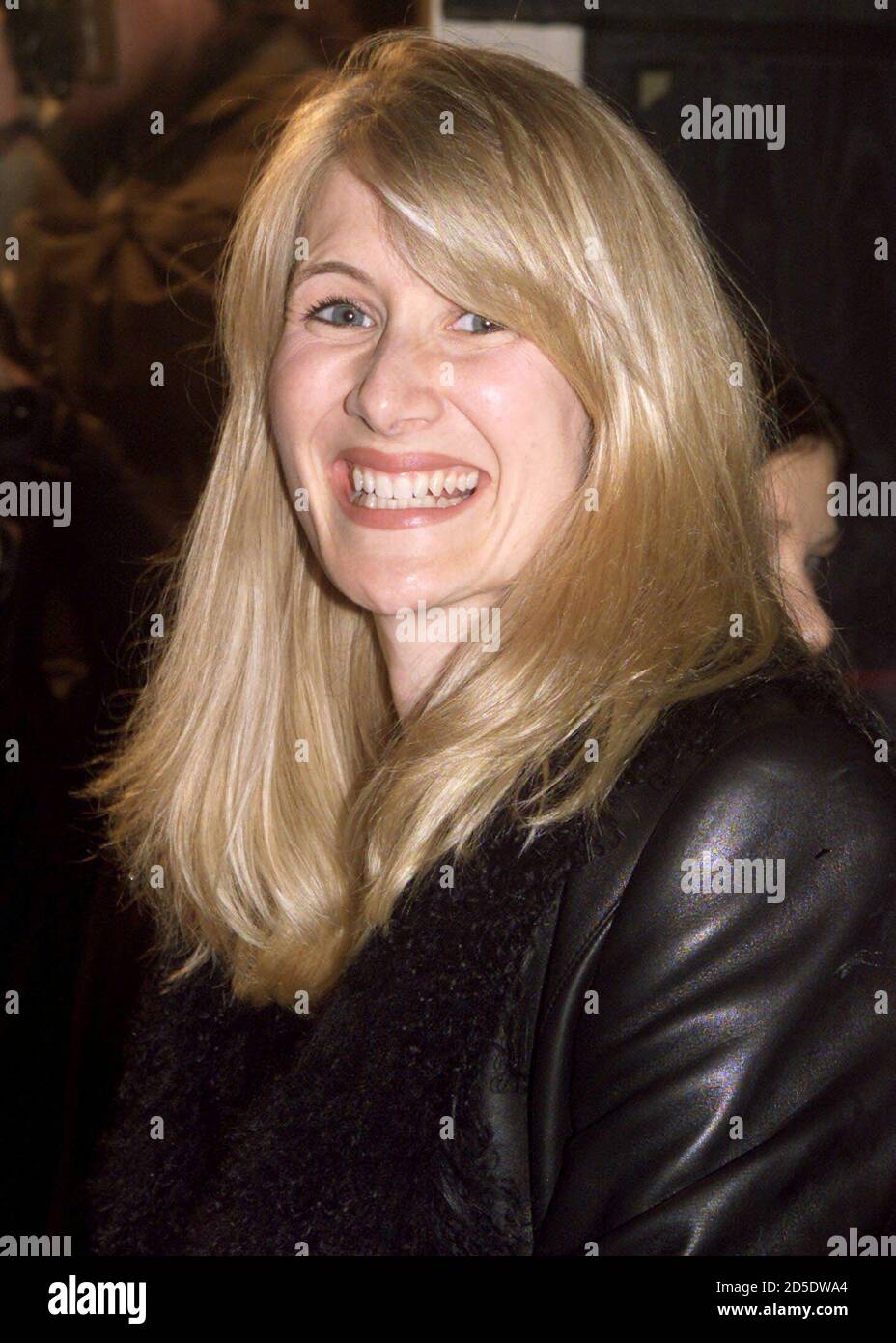 Meg ryan laura dern hi-res stock photography and images - Alamy