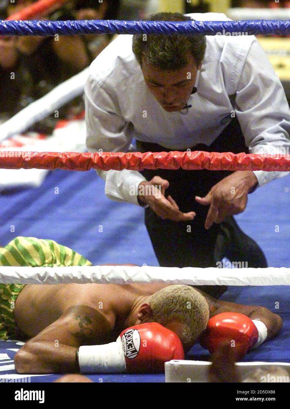 Brazilian boxer hi-res stock photography and images - Alamy