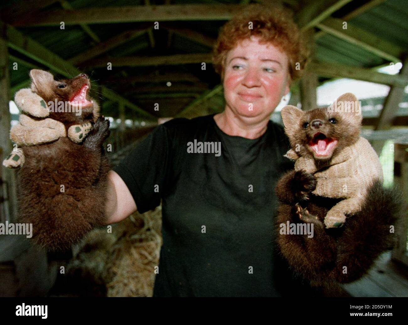 Russian furs hi-res stock photography and images - Alamy