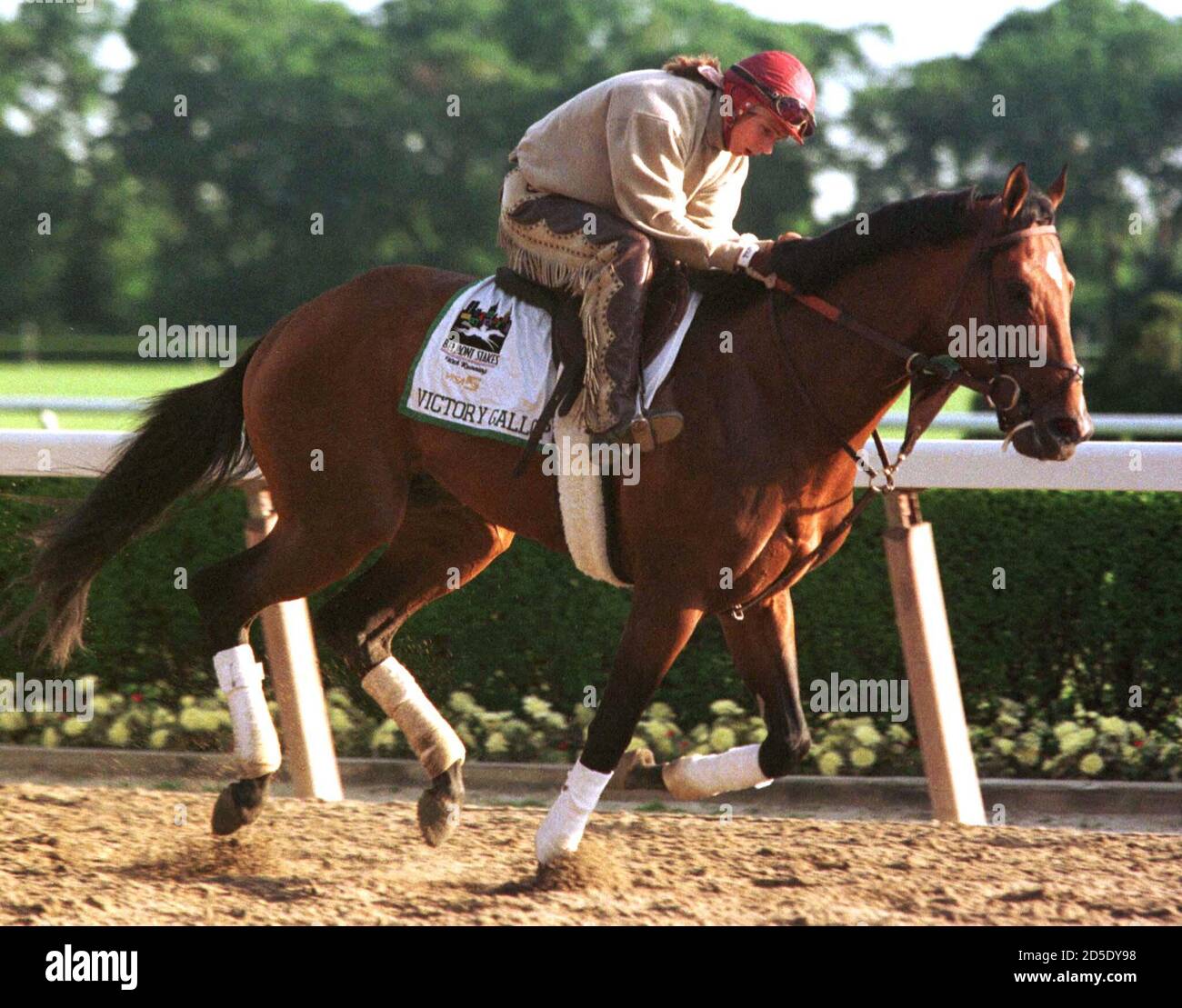 Horse racing drawing hi-res stock photography and images - Alamy