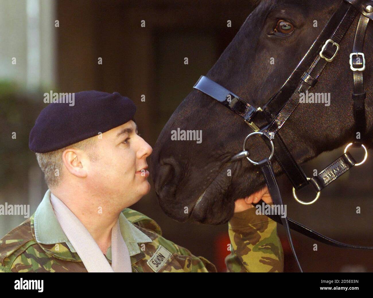 Paul Salmon High Resolution Stock Photography and Images - Alamy