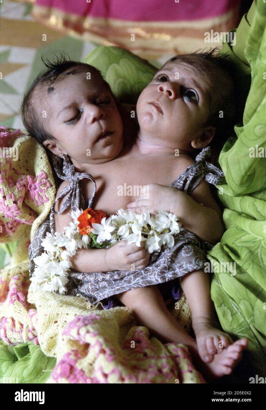 Arms identify hi-res stock photography and images - Alamy