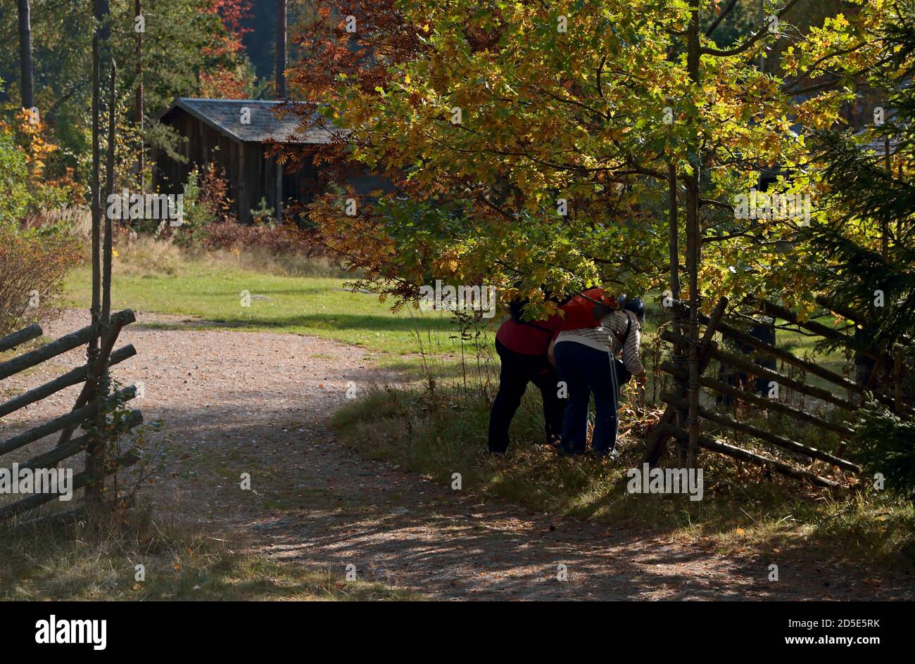 Two women finding and photographing something interesting in nature ...