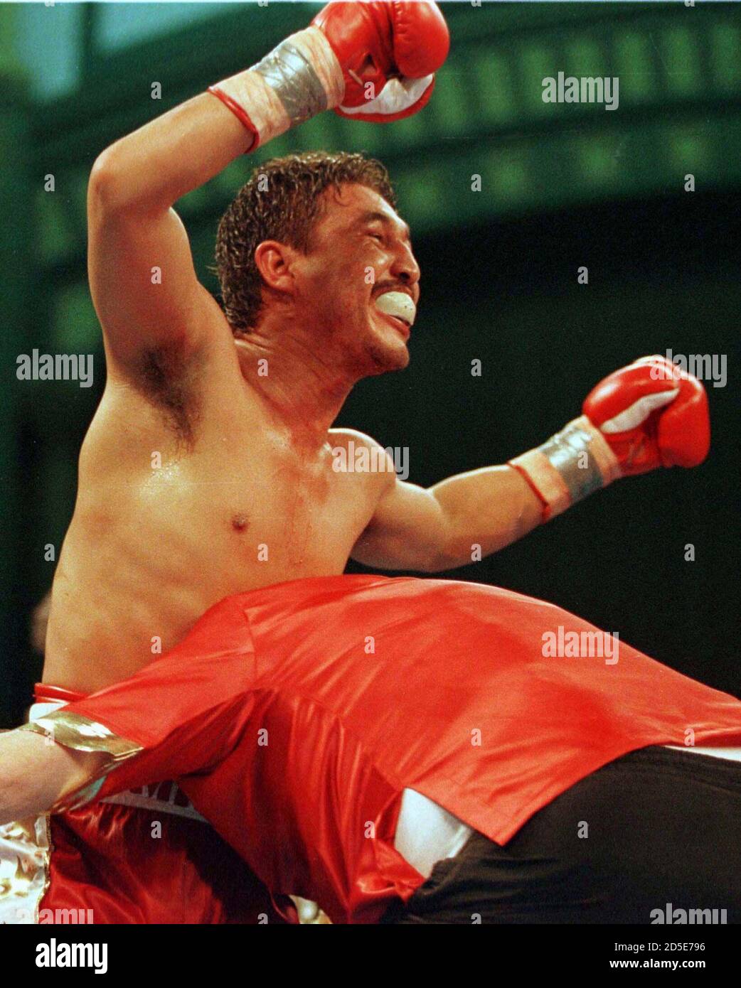 Yory hi-res stock photography and images - Alamy