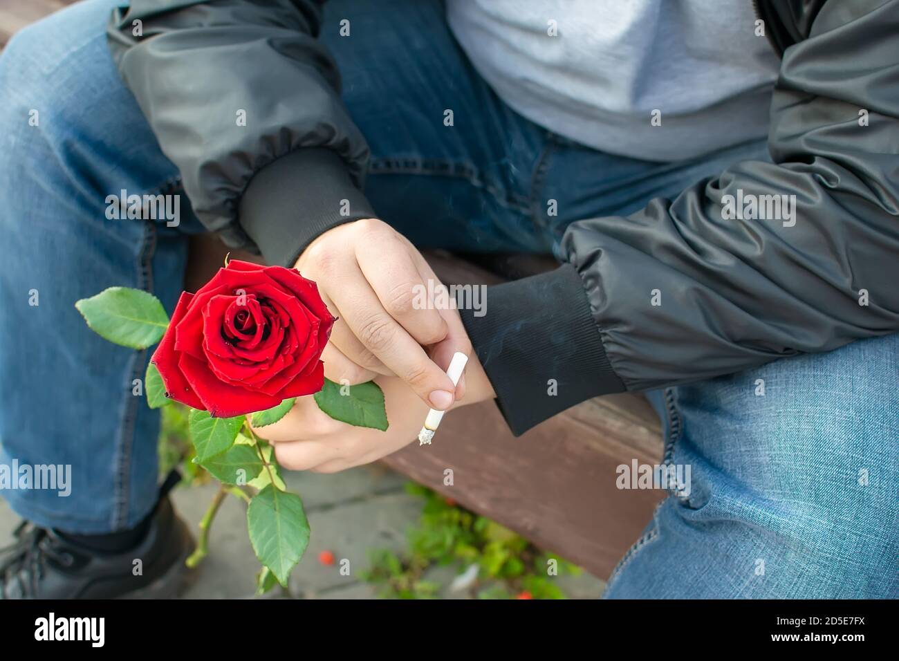 rose and a cigarette in the hand of a romantic Smoking man Stock Photo ...