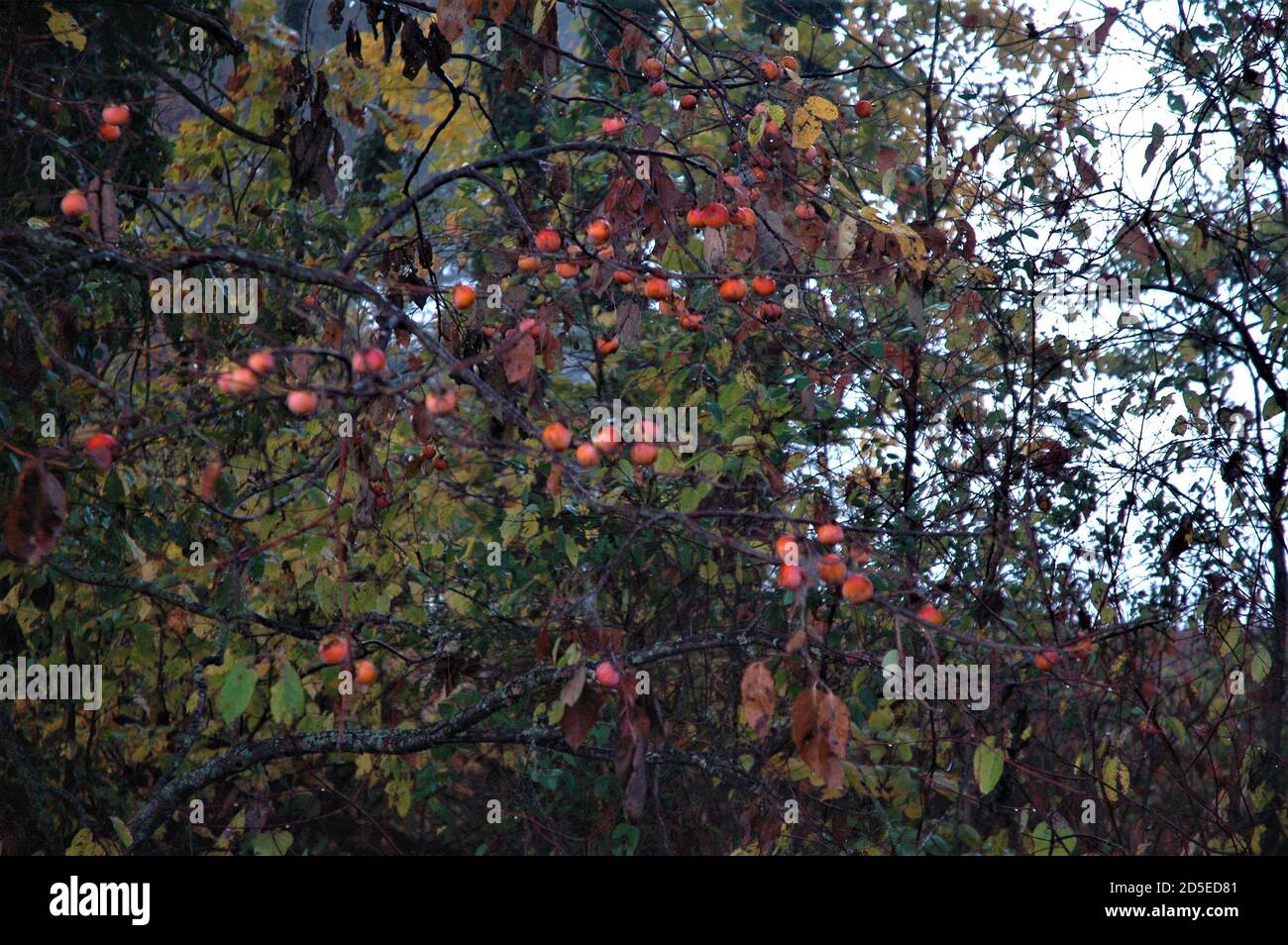 12 October 2020 Stock Photo - Alamy
