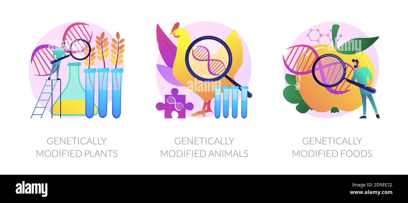 Gene modification vector concept metaphors Stock Vector Image & Art - Alamy