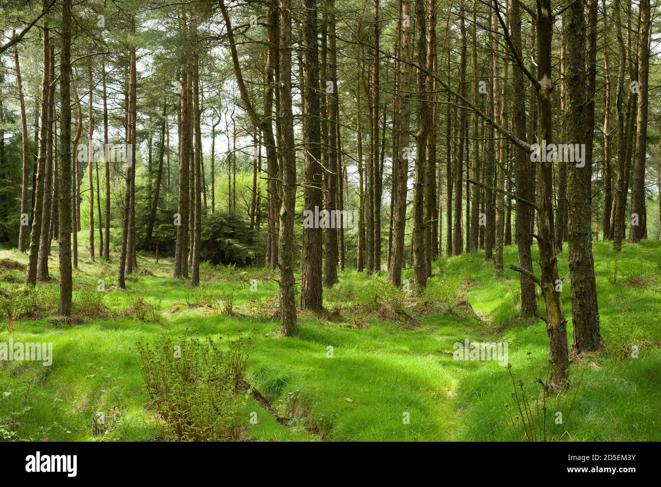 In west harptree hi-res stock photography and images - Alamy