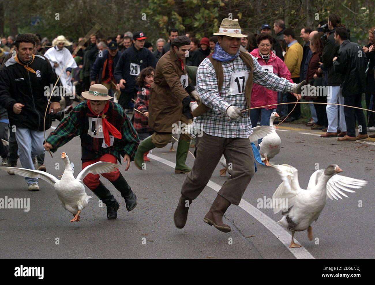 In Italy With Almost 5 High Resolution Stock Photography and Images - Alamy