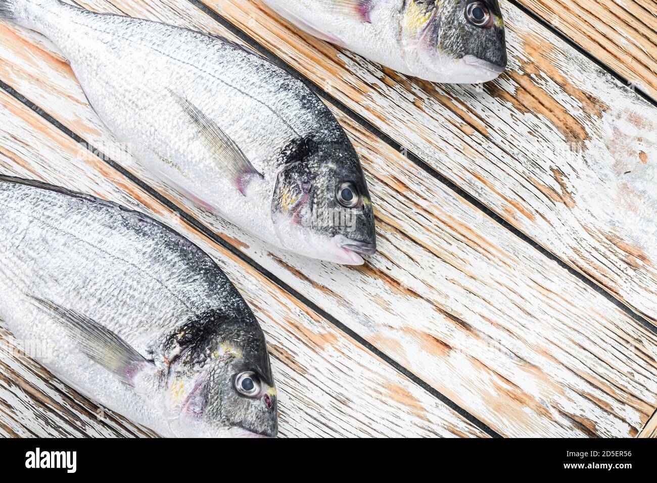 Set of raw dorado Sea bream fish over white wood table side view with ...